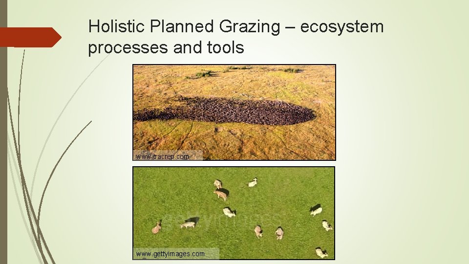 Holistic Planned Grazing in South African grasslands Soil