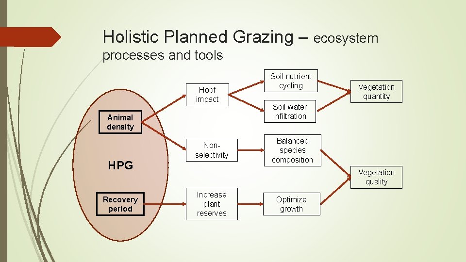 Holistic Planned Grazing in South African grasslands Soil