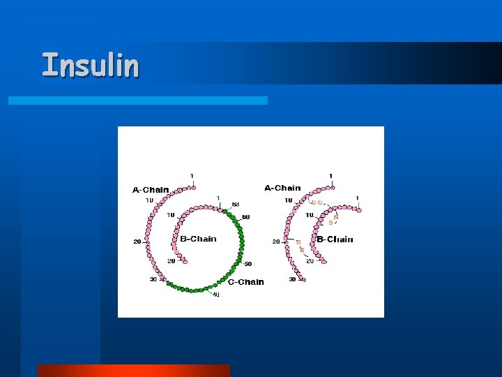 CARBOHYRATES IN CLINICAL BIOCHEMISTRY Prof Dr Serdar ztezcan