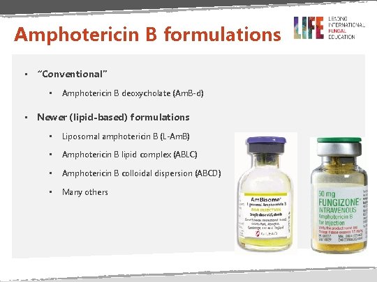 Amphotericin B Dr Pippa Newton Infectious Diseases Consultant
