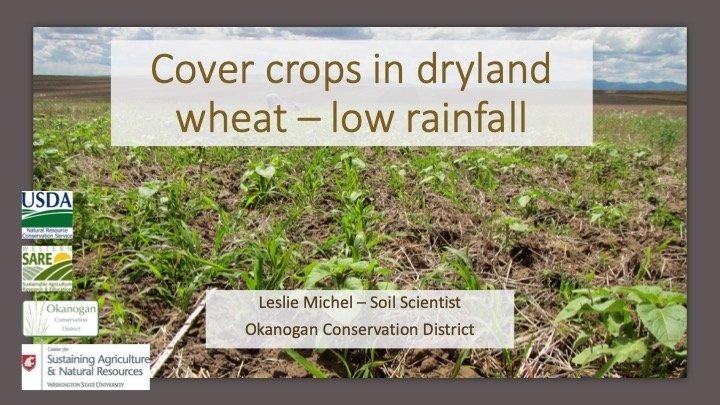 Cover Crop Rotations and Sustainability Inland Northwest Artisan