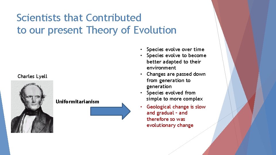 How the Theory of Evolution was Formed Theory