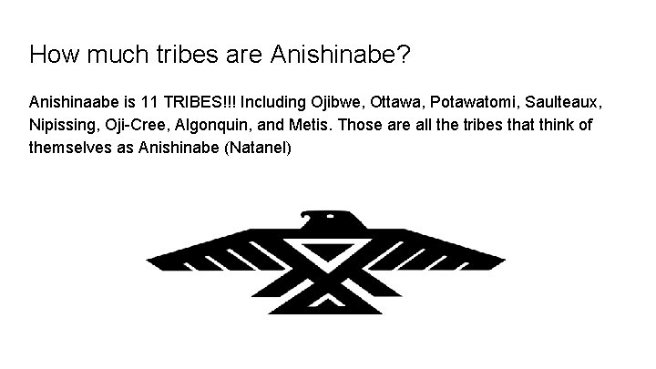 Anishinabe By Odeya Naomi R Jacob Natanel What