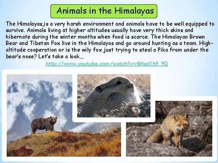 LO To know about the Himalayan Mountain Range