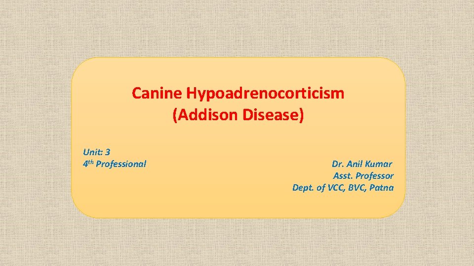 Canine Hypoadrenocorticism Addison Disease Unit 3 4 th