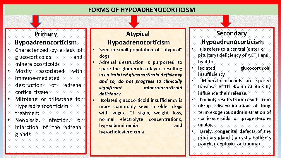 Canine Hypoadrenocorticism Addison Disease Unit 3 4 th