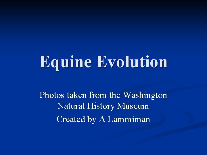 Equine Evolution Photos taken from the Washington Natural