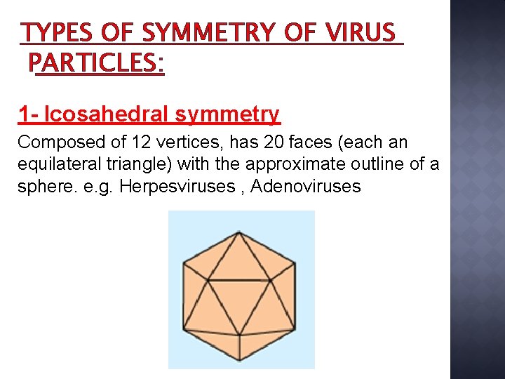 LEC 1 GENERAL PROPERTIES OF VIRUSES Objectives 1