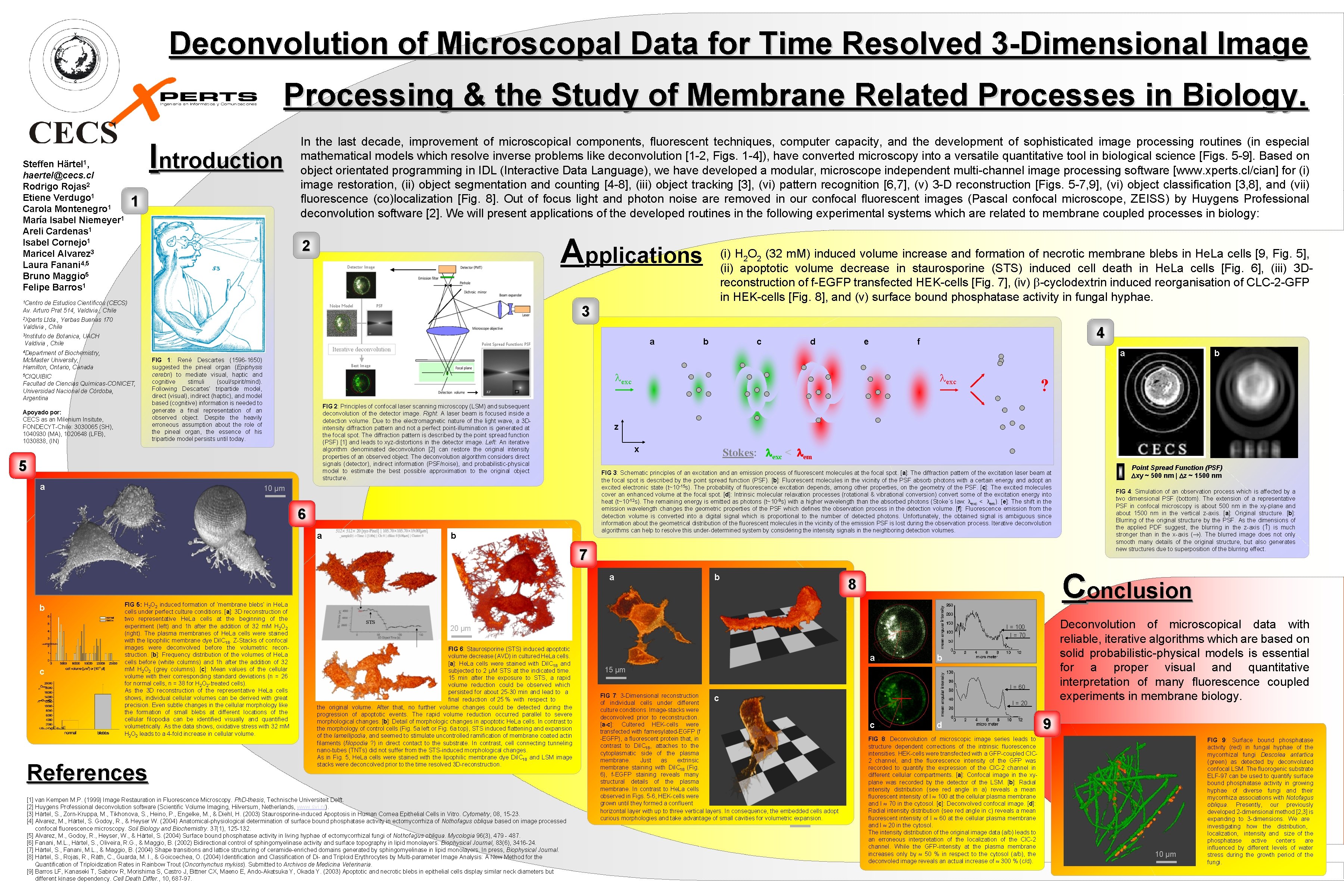 Deconvolution of Microscopal Data for Time Resolved 3