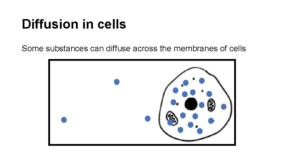 Diffusion and Osmosis This powerpoints animations are best
