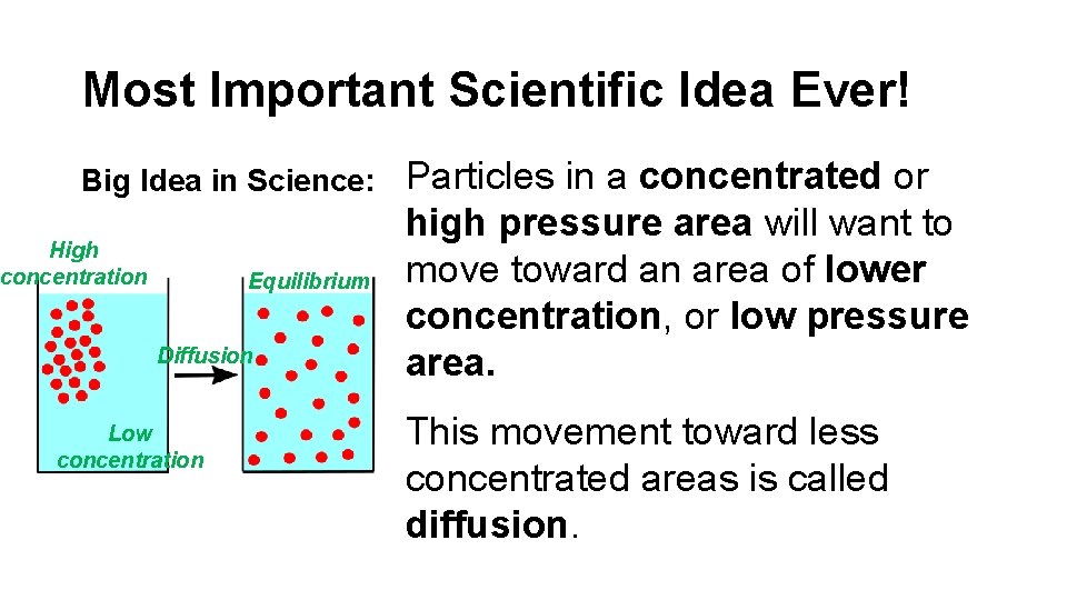Diffusion and Osmosis This powerpoints animations are best