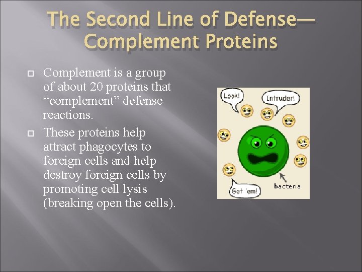 VIRUSES BACTERIA AND THE IMMUNE SYSTEM The Molecular