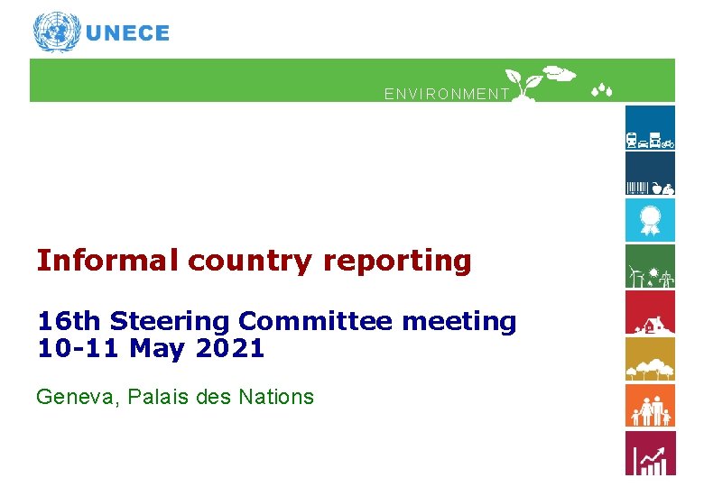 ENVIRONMENT Informal country reporting 16 th Steering Committee