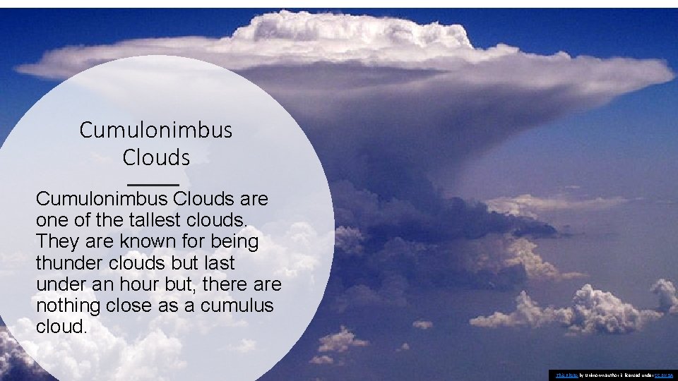 Weather and Climate By Sasha Ricardo and Krystal