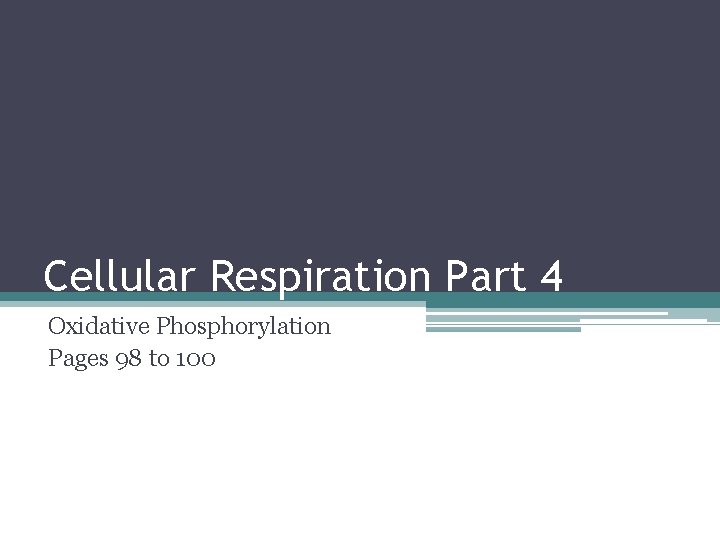 Cellular Respiration Part 4 Oxidative Phosphorylation Pages 98