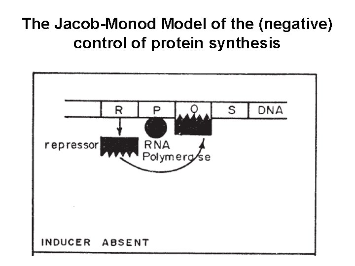 Overproduction of Metabolites of Industrial Microorganisms MECHANISMS ...