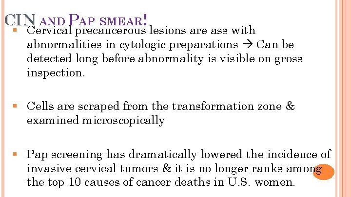 FEMALE GENITAL SYSTEM LECTURE 2 CERVIX Dr Bushra