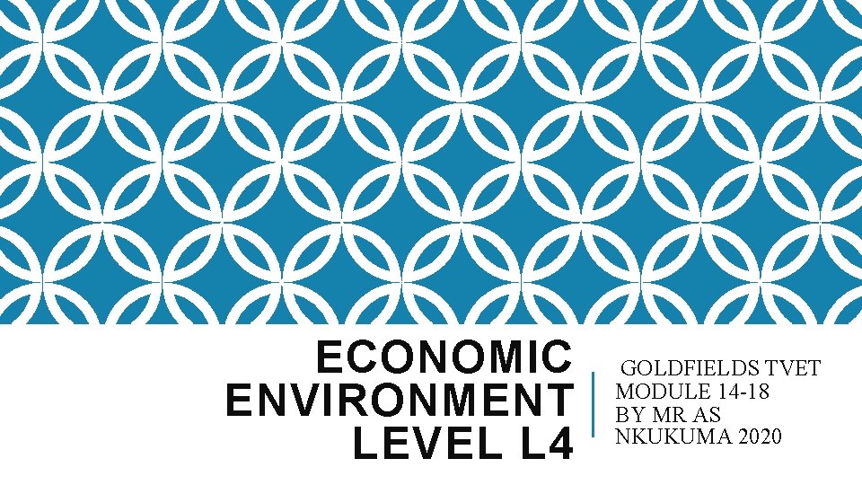 ECONOMIC ENVIRONMENT LEVEL L 4 GOLDFIELDS TVET MODULE