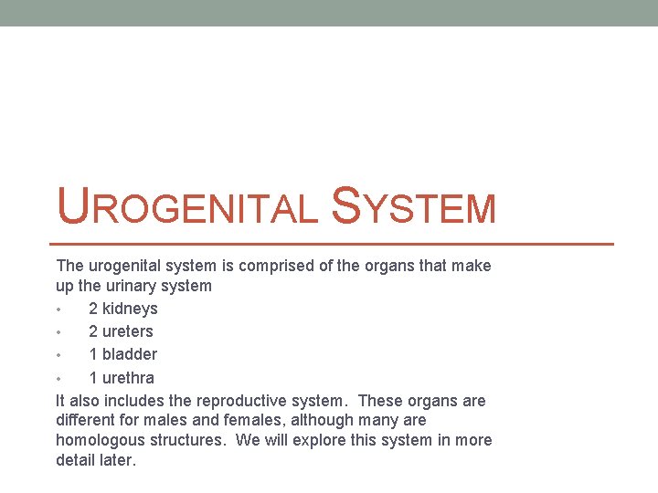 UROGENITAL SYSTEM The urogenital system is comprised of