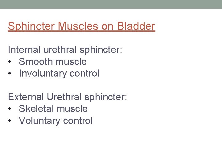 UROGENITAL SYSTEM The urogenital system is comprised of
