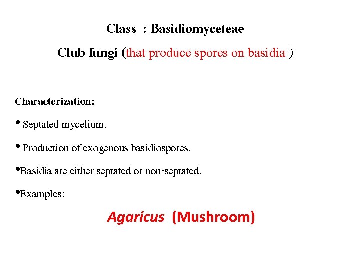 Class Basidiomyceteae Club fungi that produce spores on