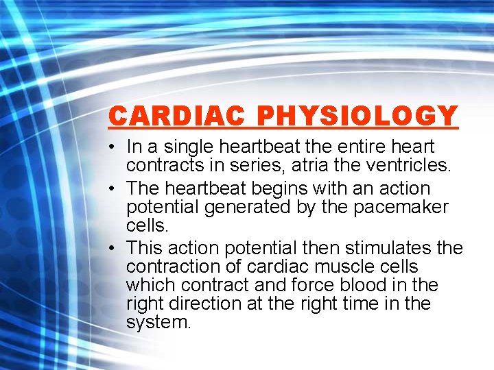 THE HEARTBEAT CARDIAC PHYSIOLOGY In a single heartbeat