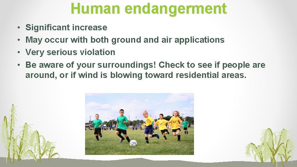 Pesticide Review and Major Issues 2018 Carla Ralston