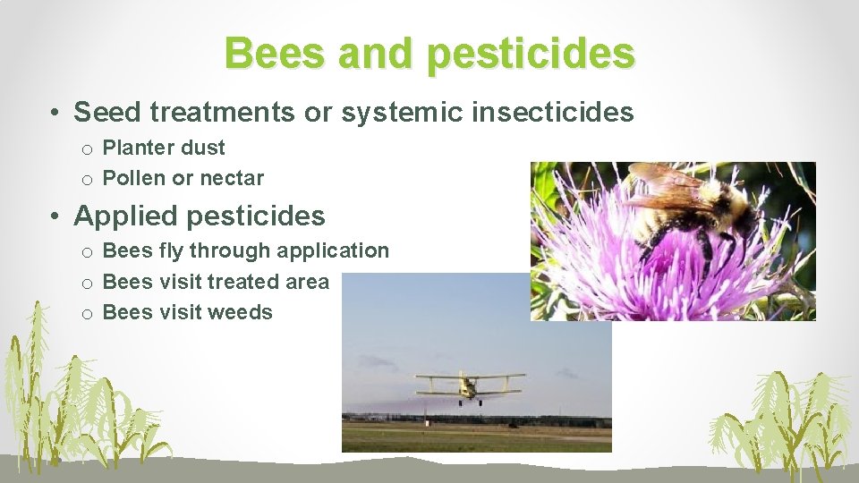 Pesticide Review and Major Issues 2018 Carla Ralston