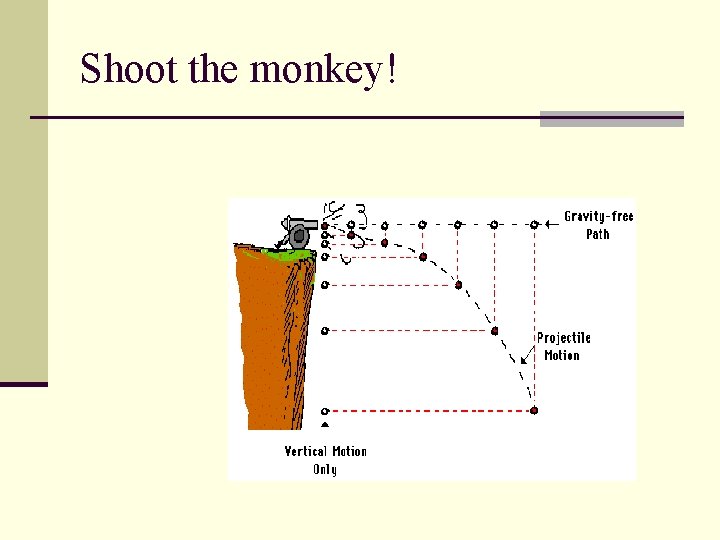 Projectile motion X meets Y and a beautiful