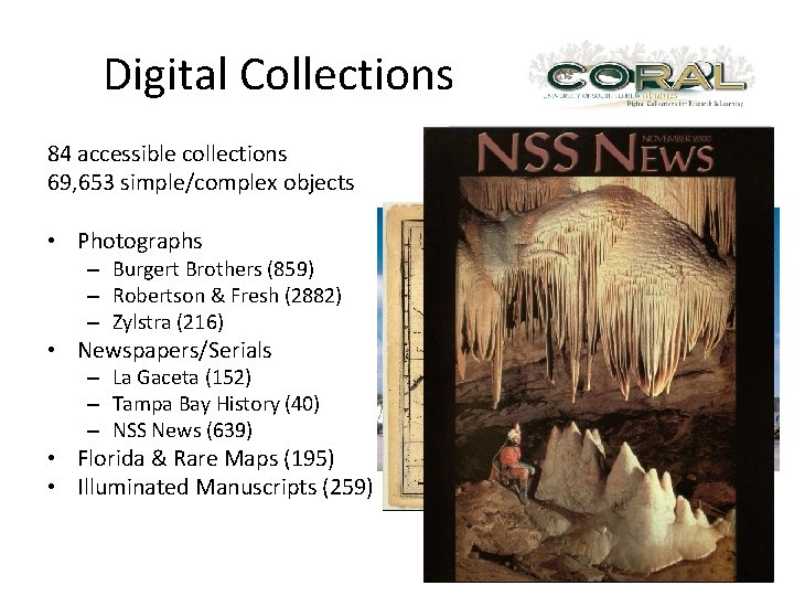 Digital Collections at the University of South Florida
