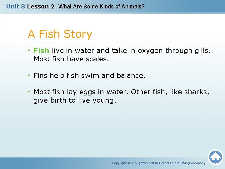 Unit 3 Lesson 2 What Are Some Kinds