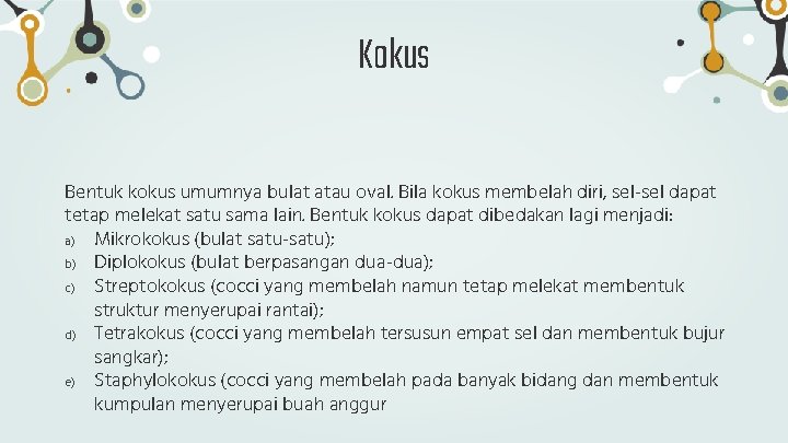 Klasifikasi bakteri berdasarkan komposisi dinding sel dan sifat