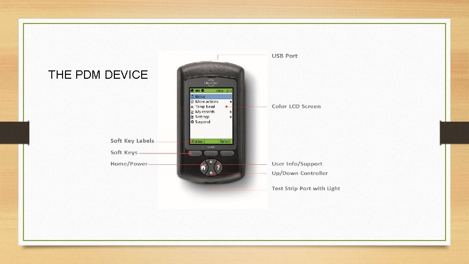 OMNIPOD Galen College of Nursing Gabriela Morris NUR