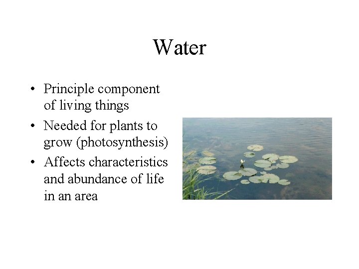 Needs of Organisms and the Ecosystem September 2005