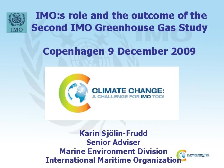 IMO s role and the outcome of the