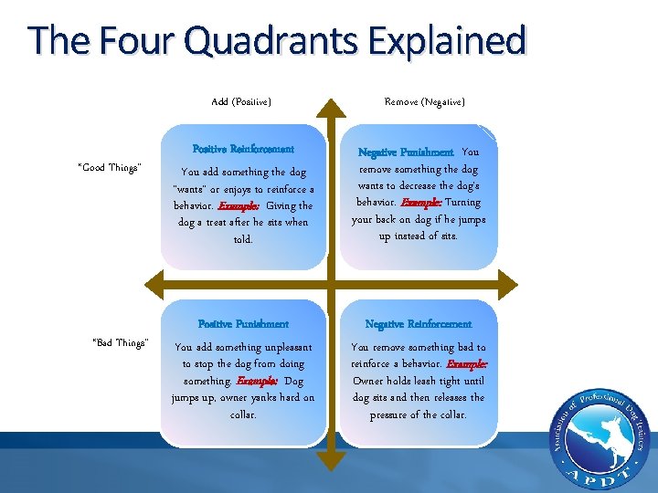 An Introduction to RewardBased Dog Training What is