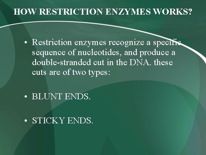 PRESENTATION ON RESTRICTION ENZYME WHAT IS AN ENZYME