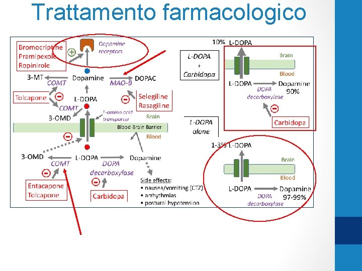 Davide Ferrazzoli MDNeurologist Department of Neurorehabilitation ...