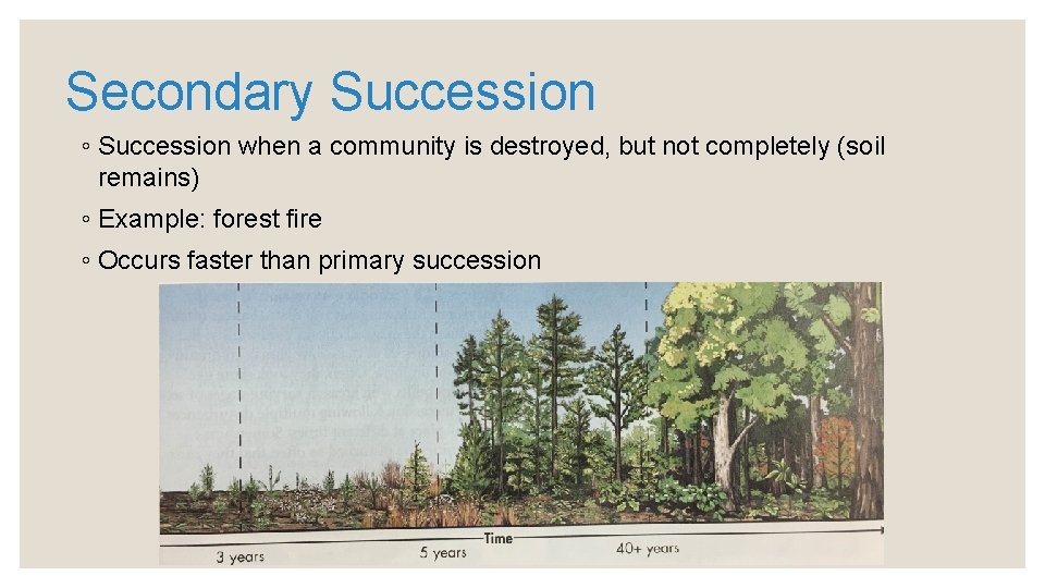 ECOSYSTEMS Ecological Succession Ecological succession changes that occur