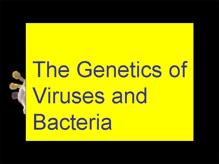 The Genetics of Viruses and Bacteria Viral Genome