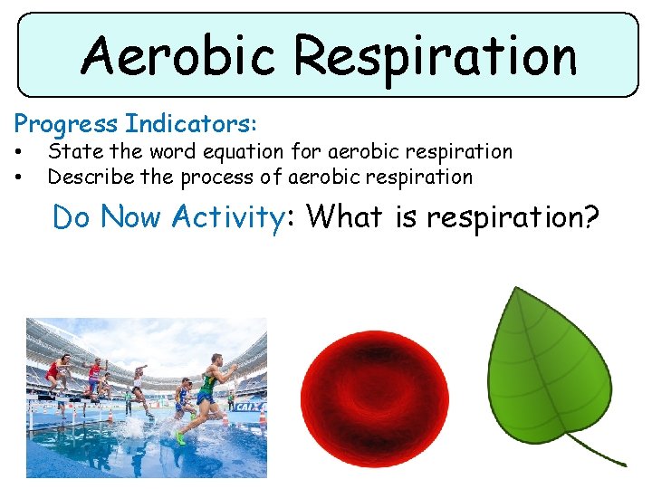 Aerobic Respiration Progress Indicators State the word equation