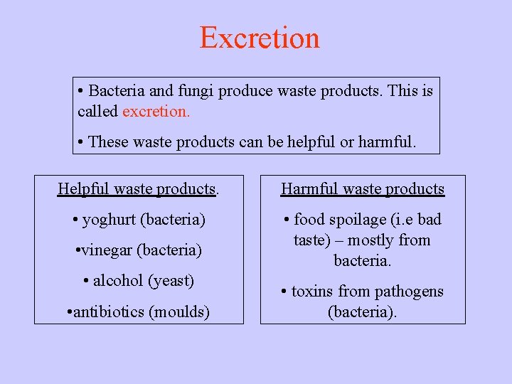 Microorganisms CA 2005 Microorganisms include Bacteria Fungi Viruses
