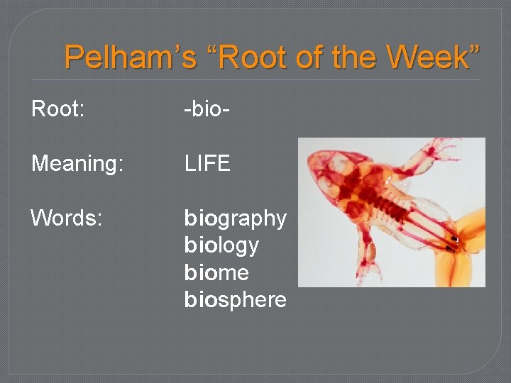 Pelham Public Schools Pelham Middle School Pelham Memorial