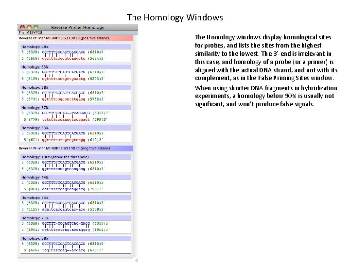 Oligo 7 Primer Analysis Software Rules for PCR