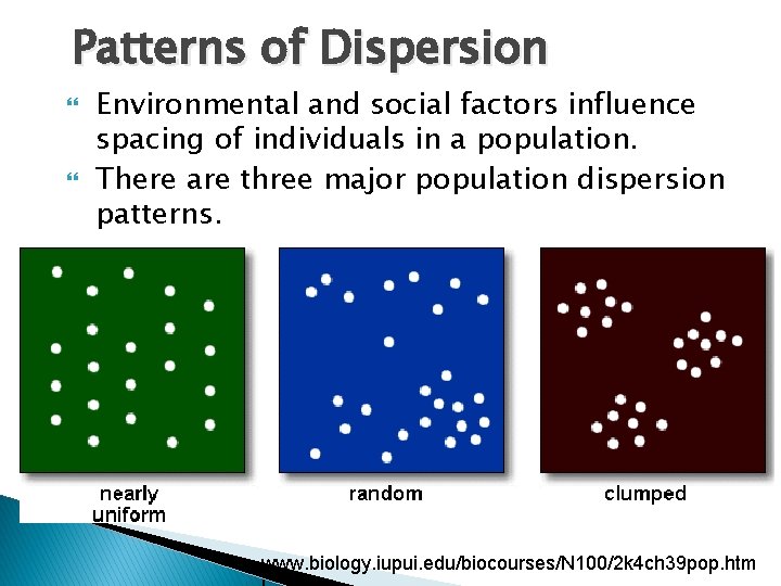 Population Dynamics What do terms like biosphere ecosystem