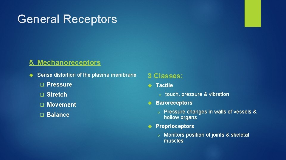 The Special Senses THE SKIN 2 Types of