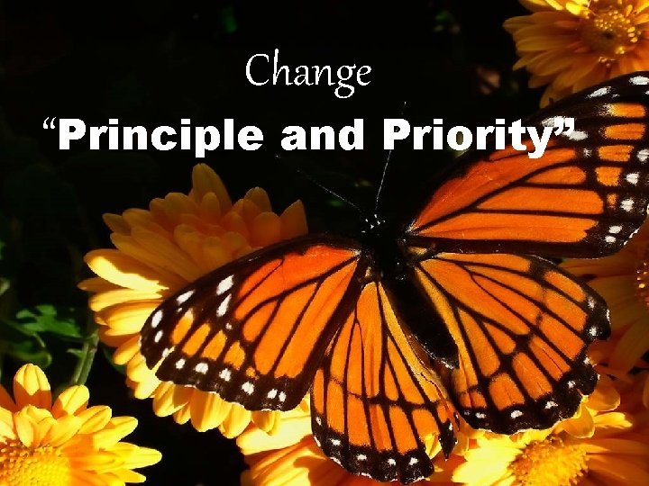 Change Principle and Priority Practical Steps to Change