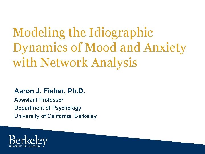 Modeling the Idiographic Dynamics of Mood and Anxiety