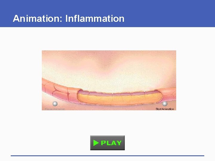 Blood Types Organ Transplants and HIV Chapter 13
