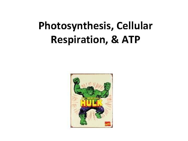 Photosynthesis Cellular Respiration ATP Energy Where do plants